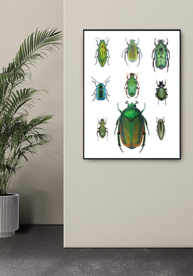 Green Metallic Beetle Wall Art, Insect Printable Art, 9 Beetles ...