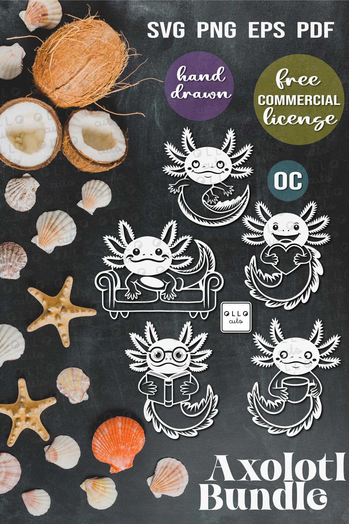 Axolotl SVG Bundle – 5 Cute Designs for Cricut & Paper Cutting ...