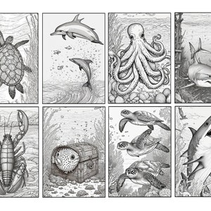 Aquatic Marine Sea Animals Ocean Coloring Book Fish, Dolphin, Sharks ...