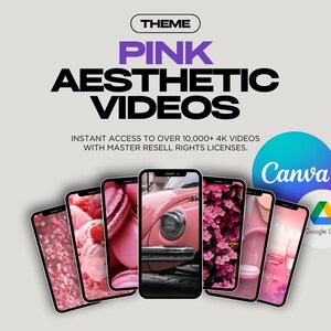 10,000+ Aesthetic Video Reels Boss Babe Story Master Resell Rights MRR ...