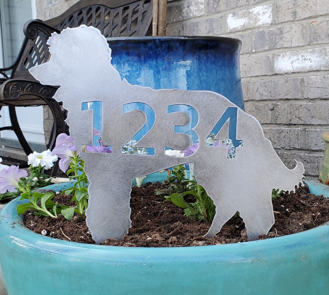 Miniature Poodle Custom Address Sign. Great Gift for Mini Poodle Lovers ...