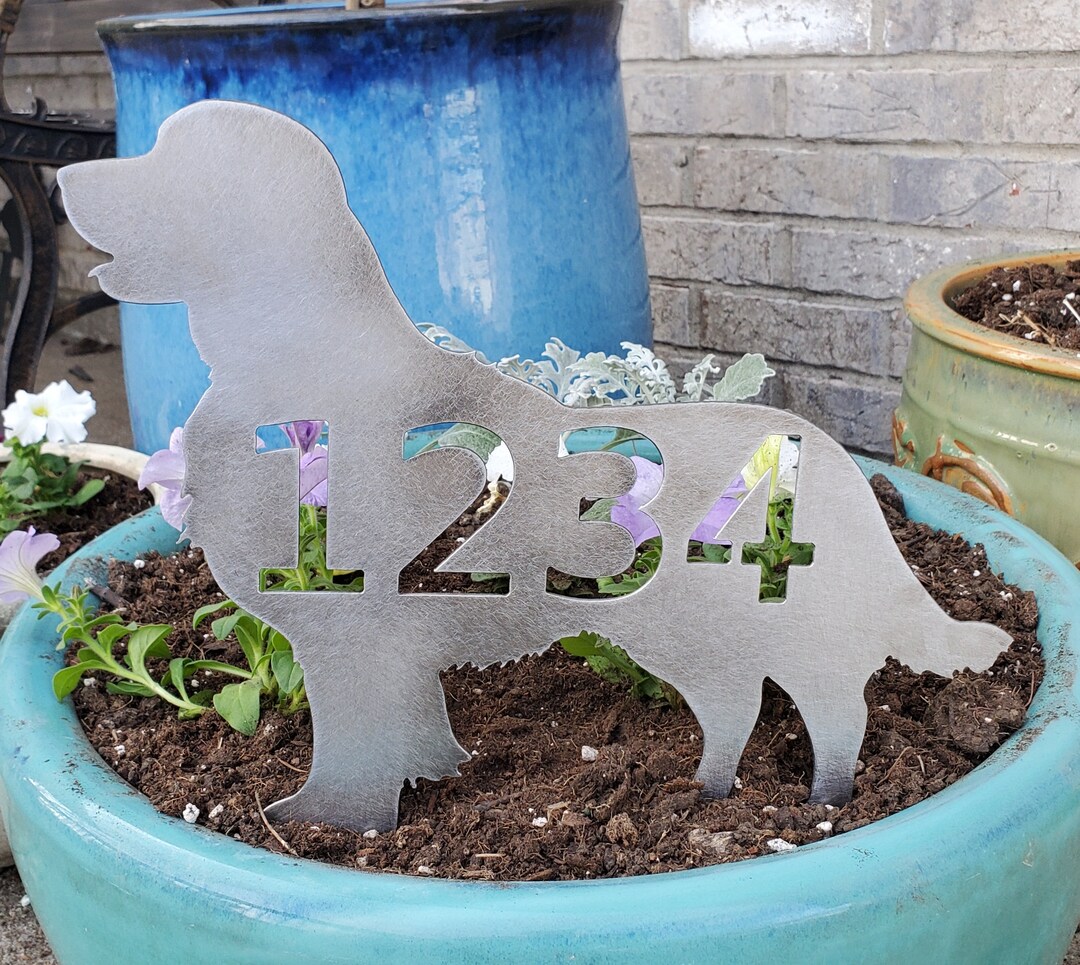 Golden Retriever Address Sign: Custom Metal House Number, USA Made - Etsy