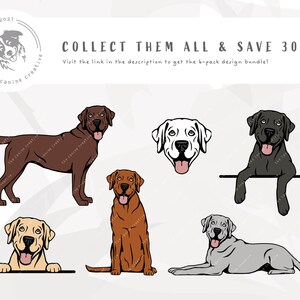 Lab Face SVG, Labrador SVG, Yellow Lab Dog Vector, Black Labrador Art ...