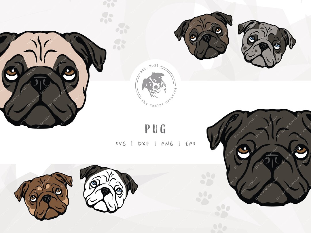 Pug Face SVG, Pug Head Clip Art, Fawn Pug Illustration, Black Pug Art ...