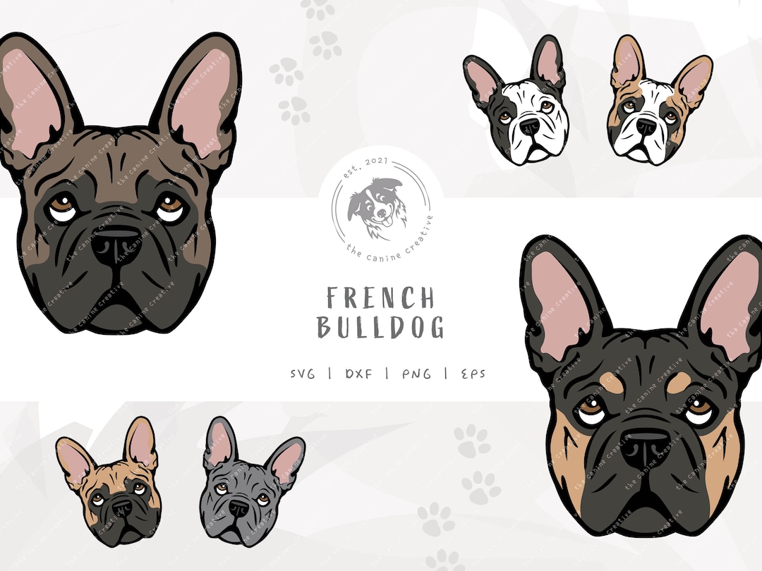 French Bull Dog SVG, Dog Face Svg, French Bulldog SVG, Frenchie SVG ...