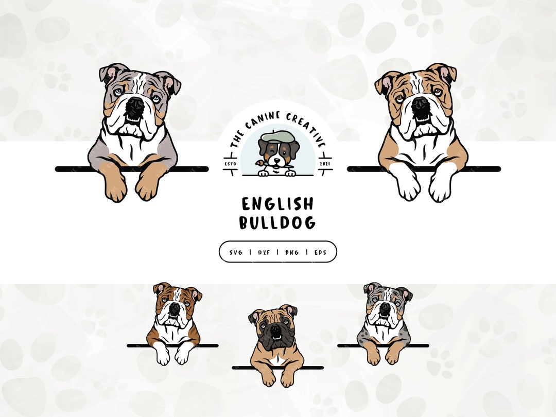 English Bulldog SVG, Bulldog Clipart PNG, Peeking Dog #2 Illustration ...