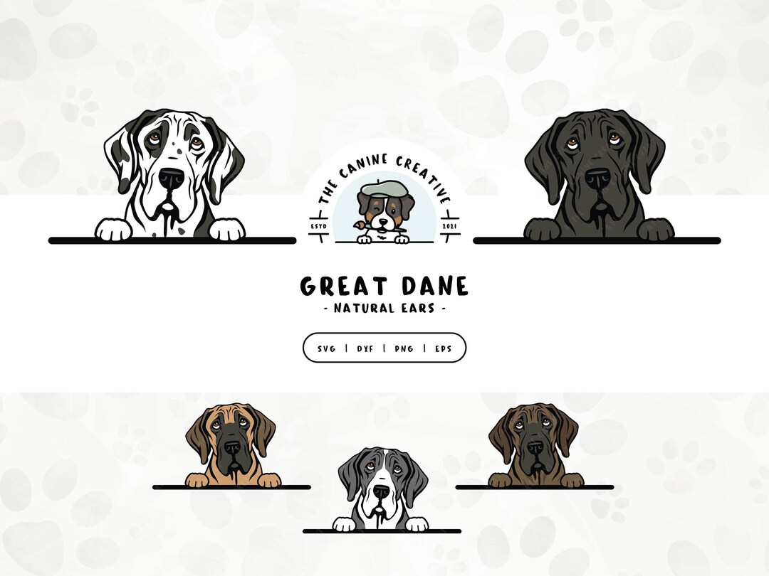 Great Dane SVG Natural Floppy Ears, Peeking Dog Clipart #1, Hand Drawn ...