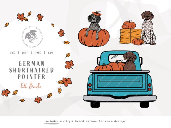 Fall SVG German Shorthaired Pointer SVG Pumpkins Png Hay - Etsy