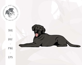 Labrador Laying Down Svg - Etsy