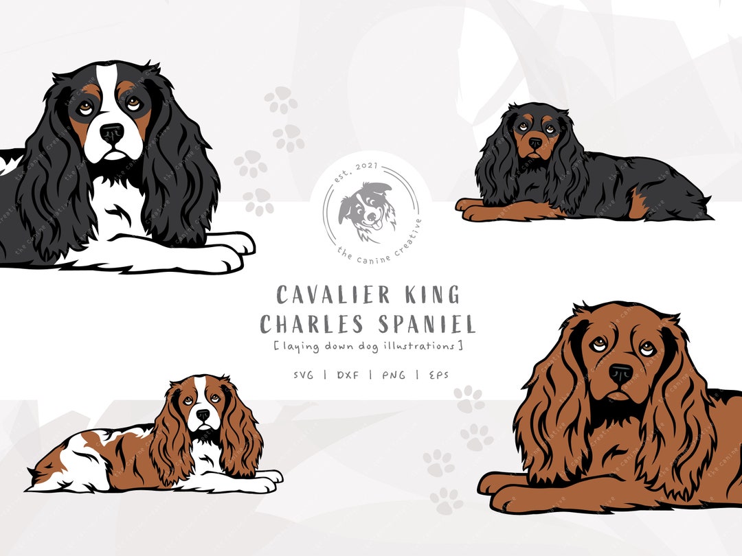 Buy Cavalier SVG King Charles Spaniel SVG Laying Down Dog SVG Online in ...