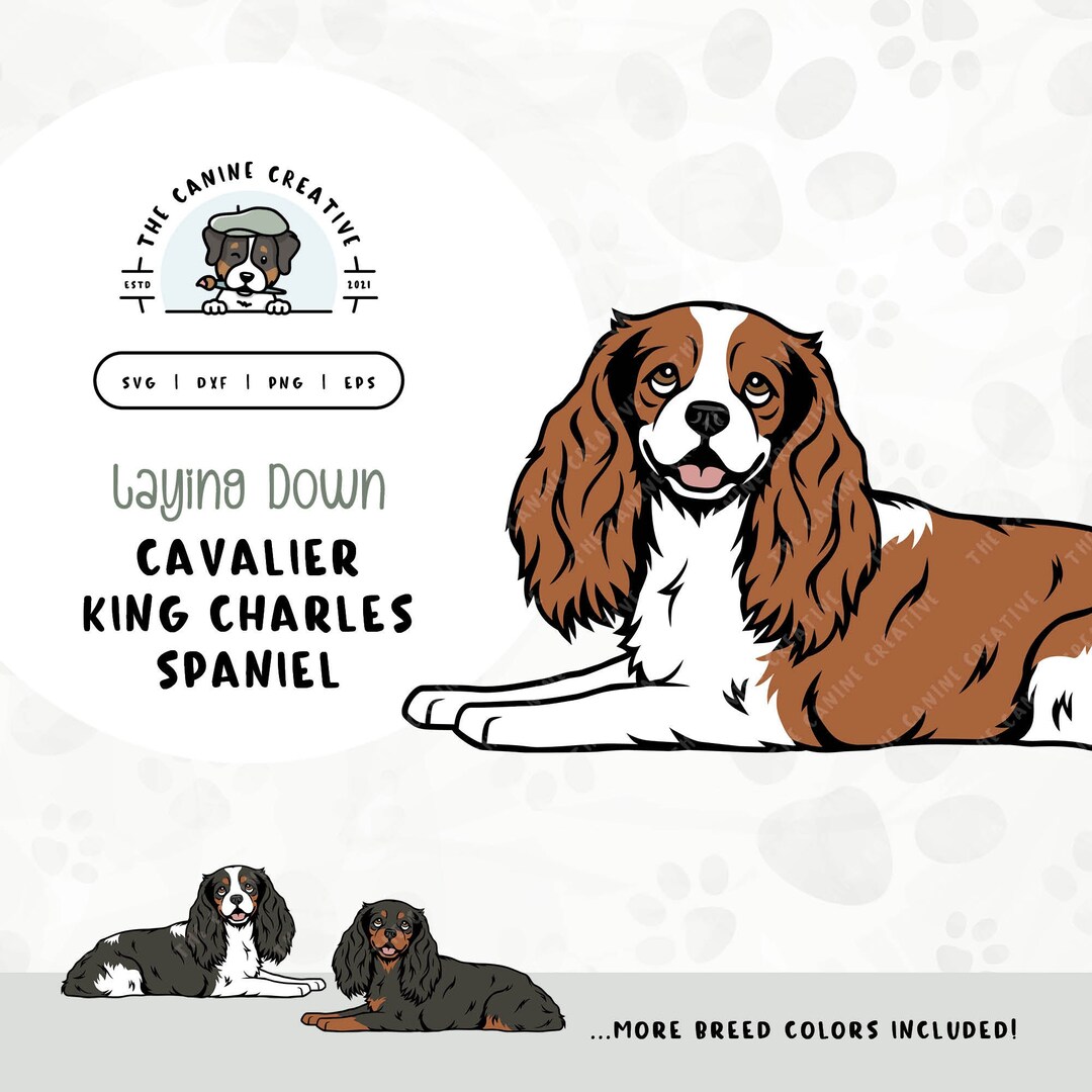 Laying Down Cavalier King Charles Spaniel SVG | Cavaliers PNG Clipart ...
