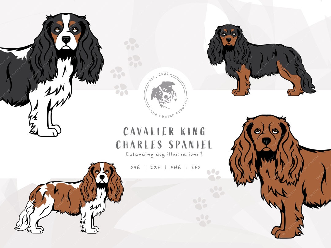 Cavalier SVG, Standing Dog SVG, King Charles Spaniel SVG, Blenheim ...