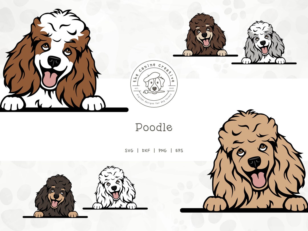 Poodles SVG, Peeking Dog Svg #1, Standard Poodle PNG, Toy Poodle ...