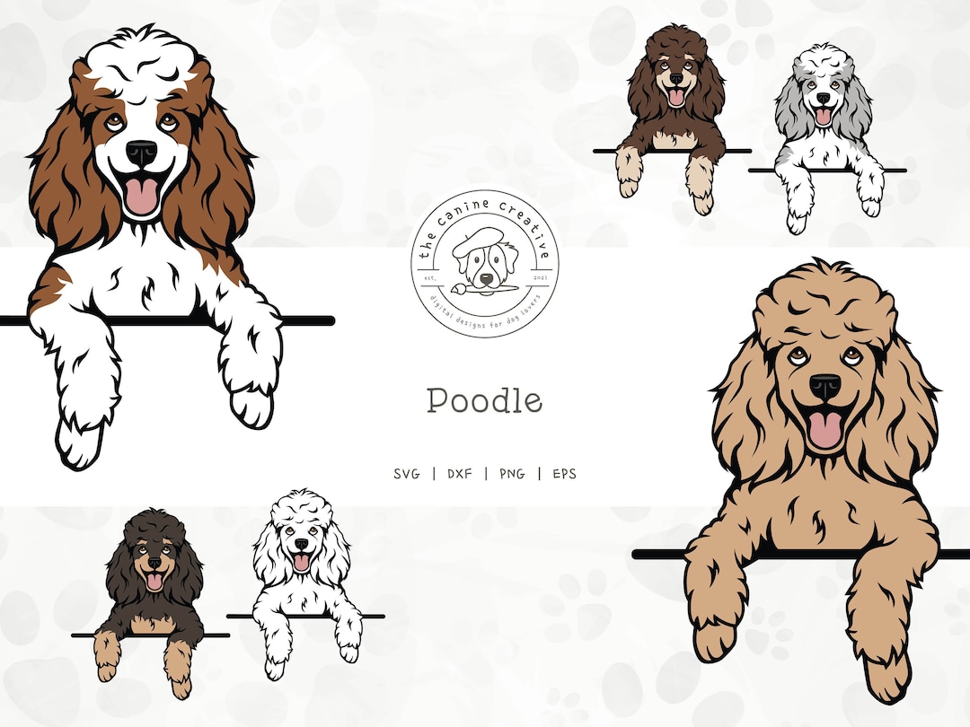 Poodles SVG, Peeking Dog Svg #2, Standard Poodle PNG, Toy Poodle ...