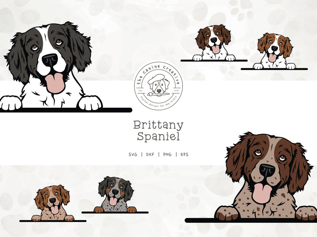 Brittany Dog SVG, Brittany Spaniel Clipart, Peeking Dog PNG #1, Hunting ...