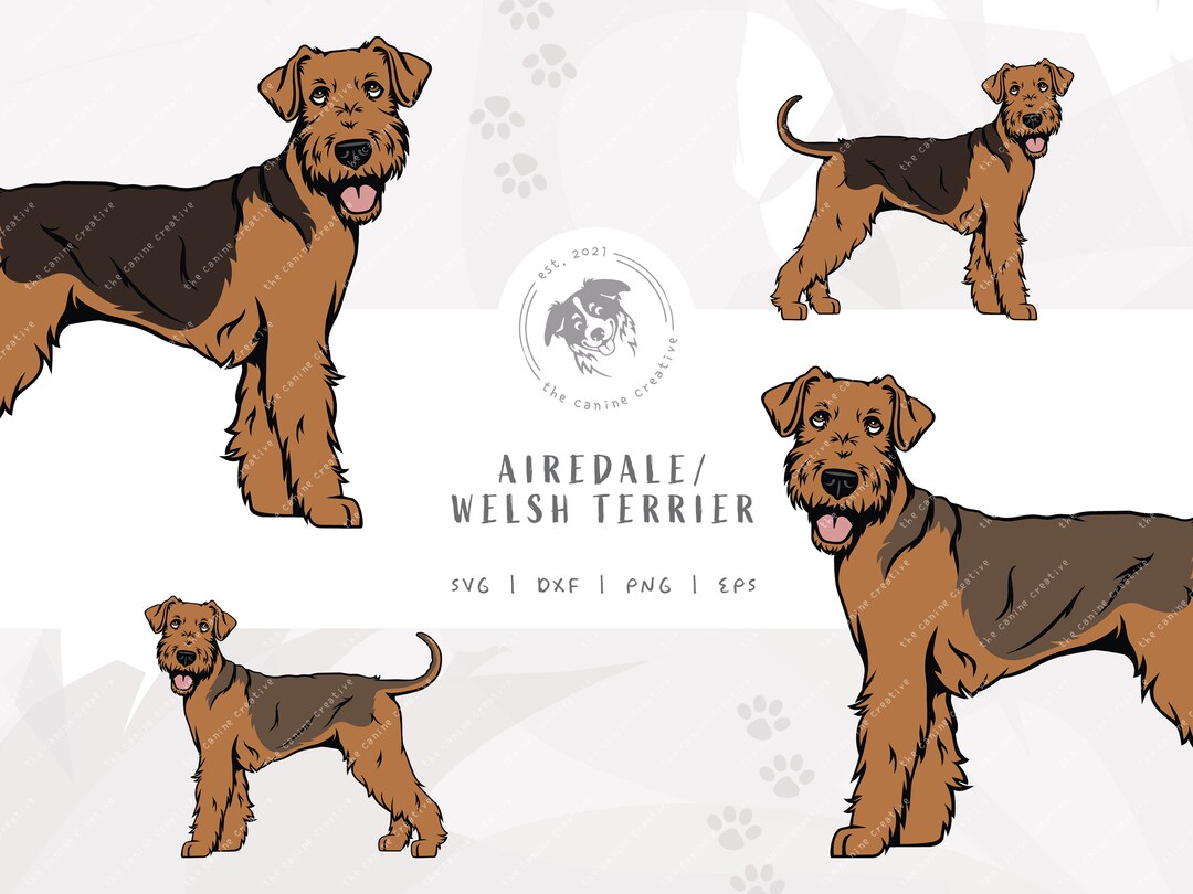 Airedale SVG, Airedale Terrier PNG, Welsh Terrier Art, Standing Dog Cut ...