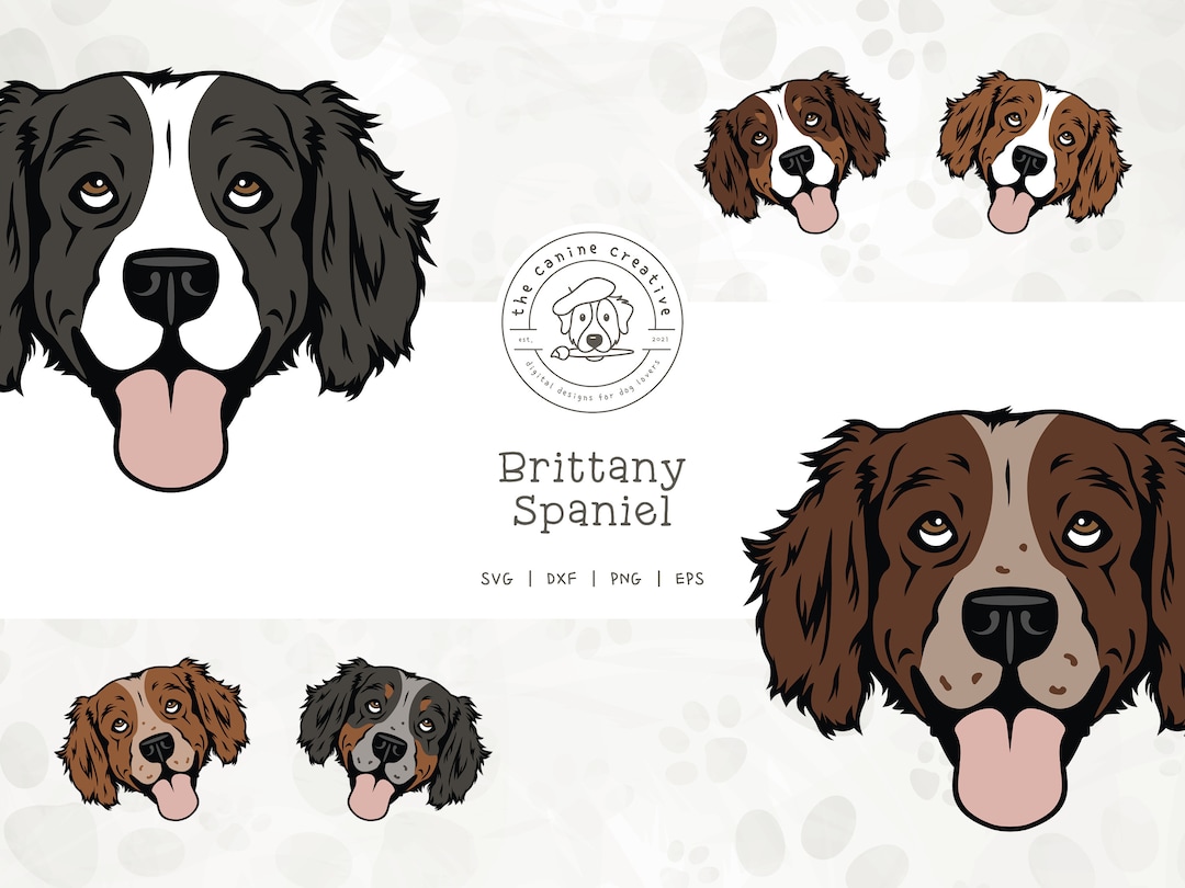 Brittany Dog SVG, Brittany Spaniel Clipart, Dog Face PNG, Printable Dog ...