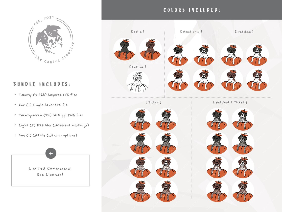 German Shorthaired Pointer SVG GSP SVG Pumpkin Dog Png Dog - Etsy