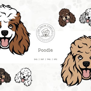Poodles SVG, Dog Face Svg, Standard Poodle PNG, Toy Poodle Clipart ...