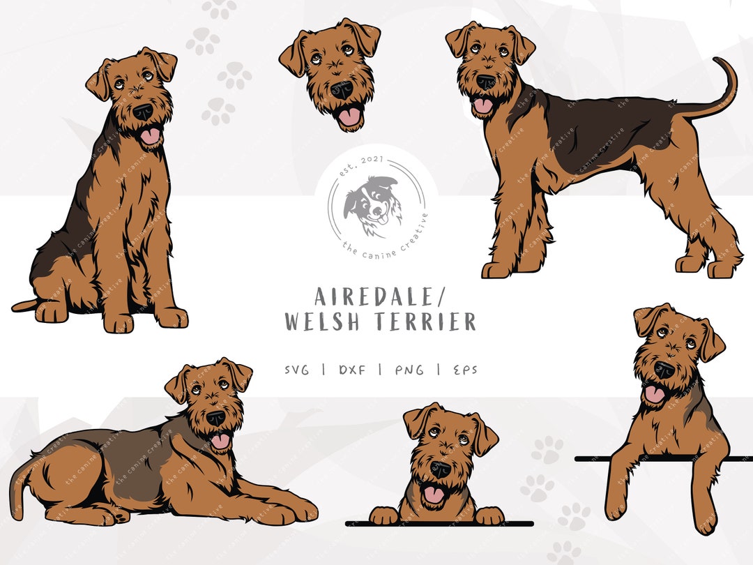 Airedale SVG Bundle, Welsh Terrier Art, Dog Face Design, Peeking Dog ...