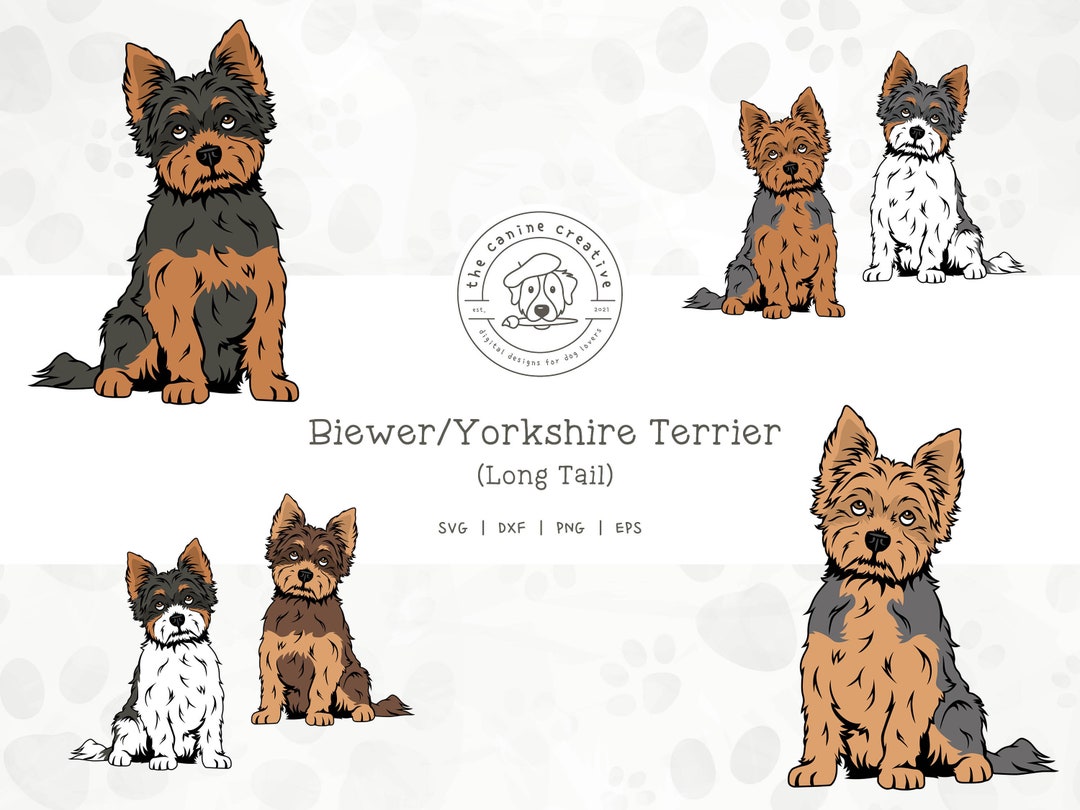Yorkshire Terriers Clip Art, Yorkie SVG, Biewer Terrier PNG, Undocked ...