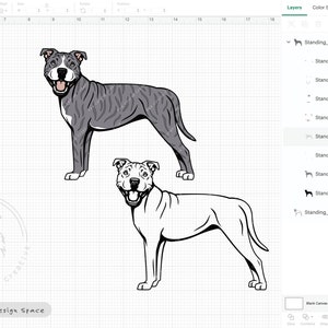 Pit Bull SVG, Staffordshire Dog PNG, Standing Dog Clipart, Layered ...
