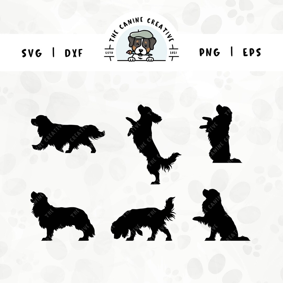 Cavalier King Charles Spaniel SVG | Dog Silhouettes | Cavaliers PNG ...