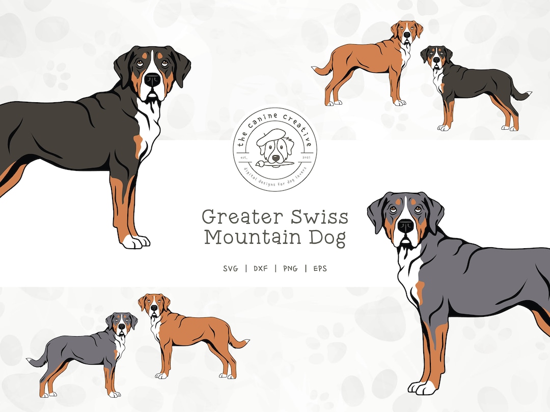 Greater Swiss Mountain Dogs SVG, Swissie Clipart, Standing Dog PNG ...