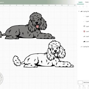 Poodles SVG, Laying Down Dog SVG, Standard Poodle PNG, Toy Poodle ...