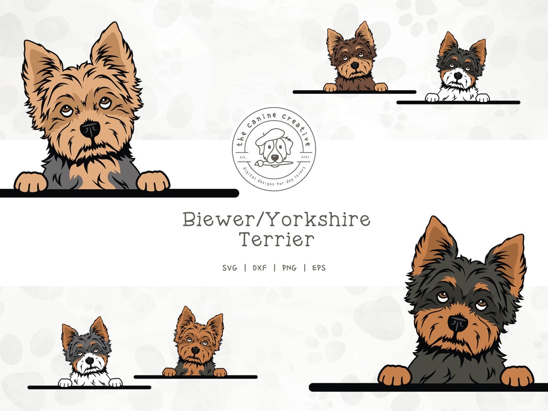 Yorkshire Terriers Clip Art, Yorkie SVG, Biewer Terrier PNG, Peeking ...