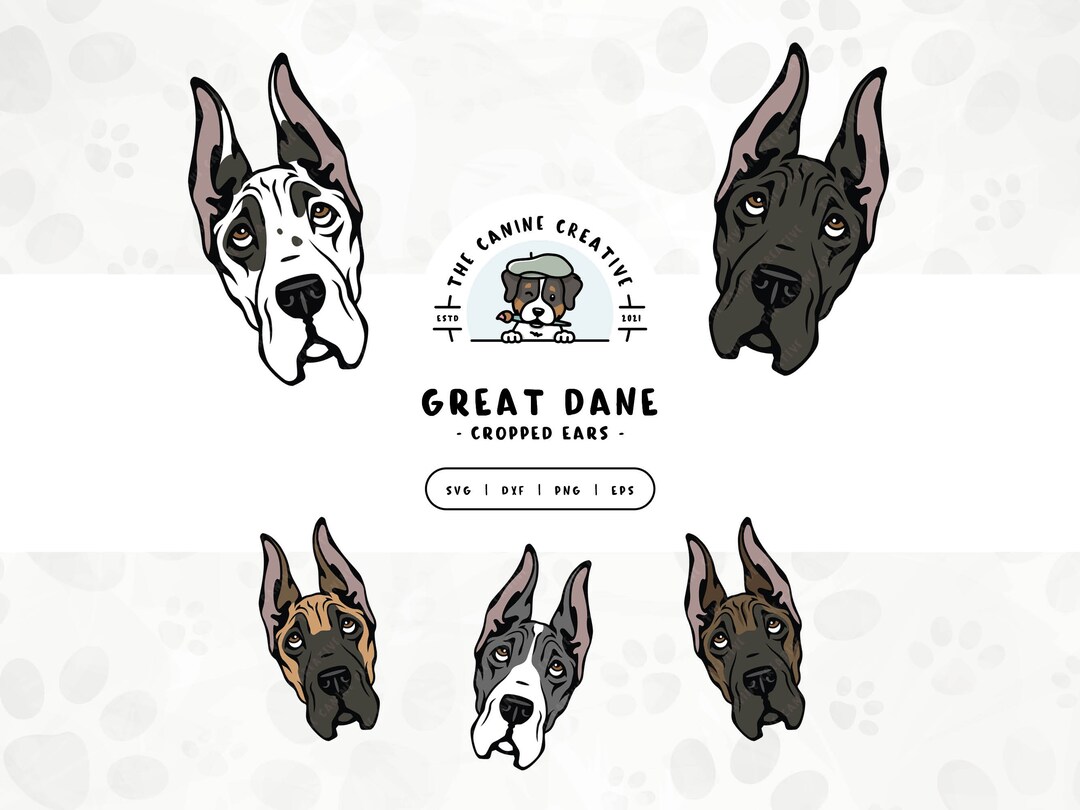 Great Dane SVG Cropped Ears, Hand Drawn Dogs PNG, Cartoon Dog Face ...