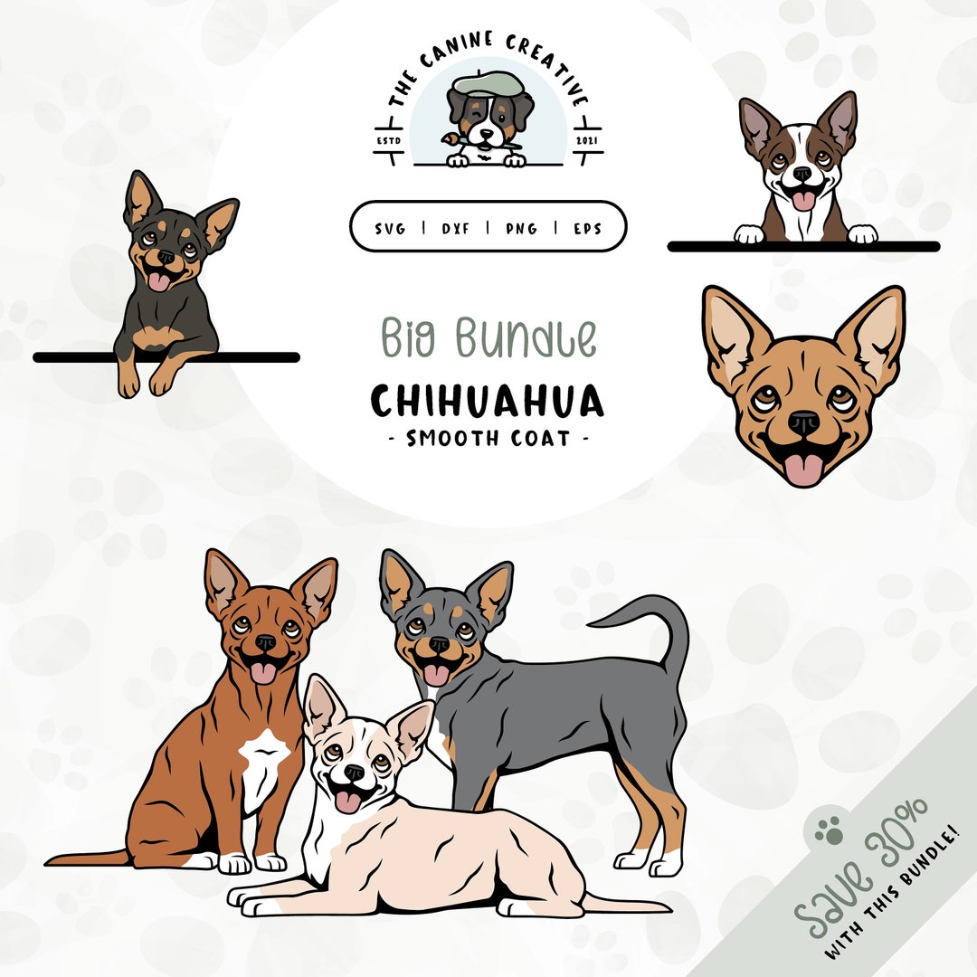 Smooth Coat Chihuahua SVG Bundle | Chiwawa PNG Clipart | Printable Pet ...