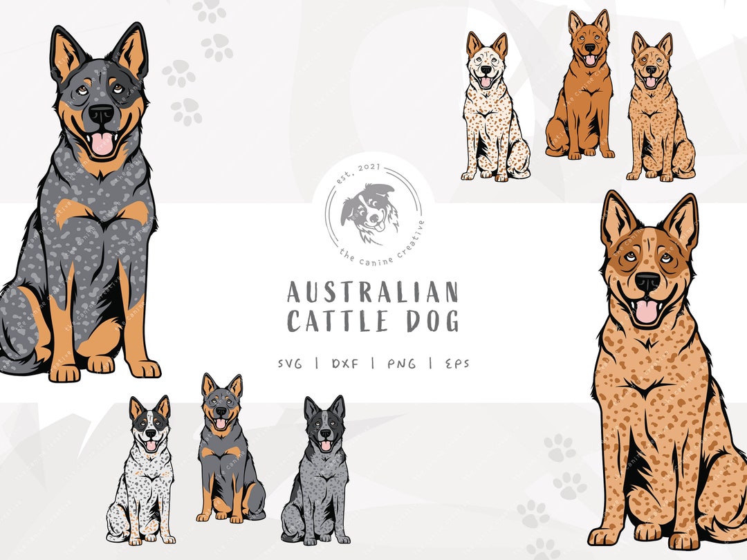 Heeler SVG, Dog Sitting Design, Australian Cattle Dog Clip Art, Blue ...