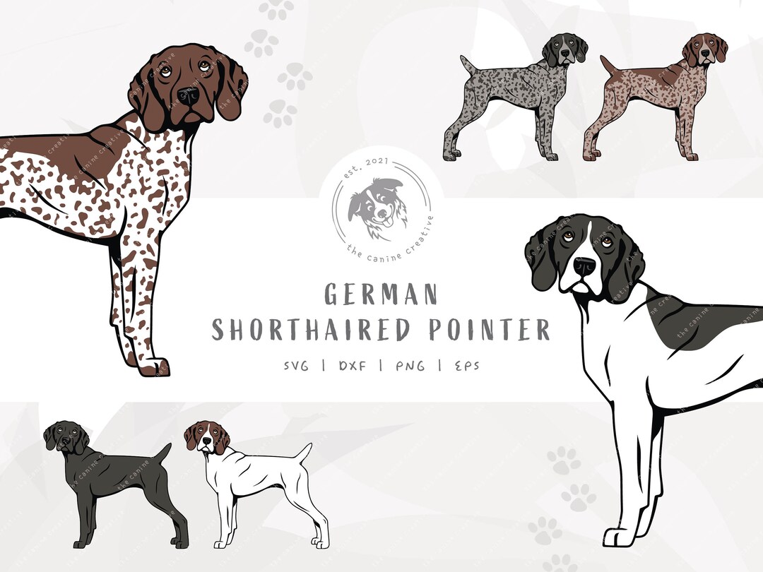 German Shorthaired Pointer SVG, GSP PNG, Standing Dog Design, Pet ...