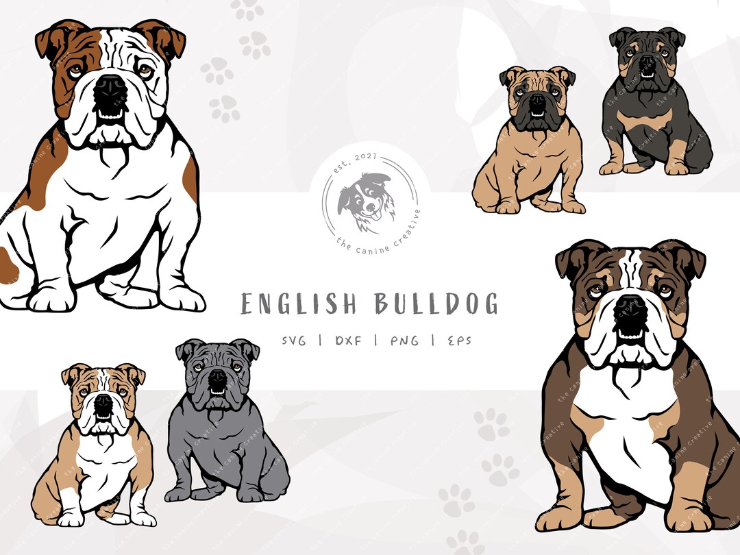English Bulldog Clipart