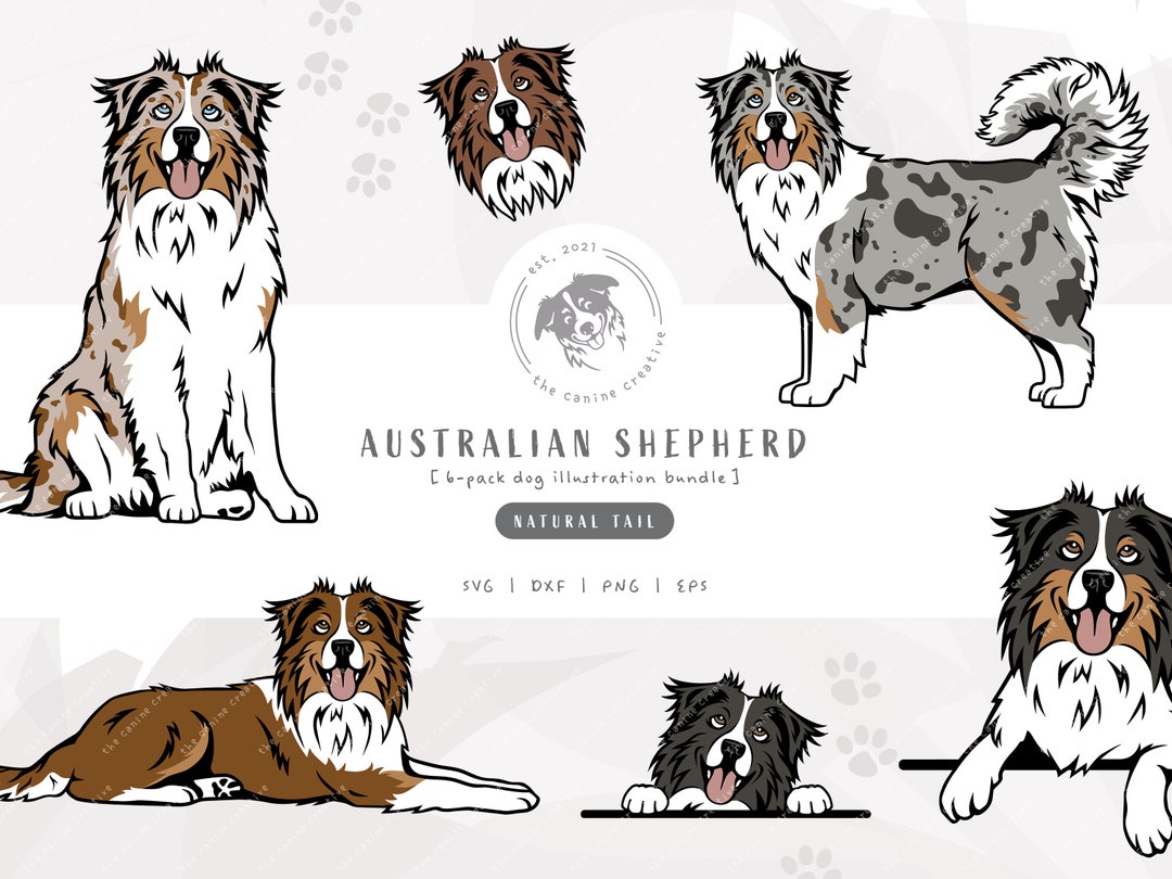 Australian Shepherd SVG Bundle, Natural Long Tail Aussie SVG, Merle ...