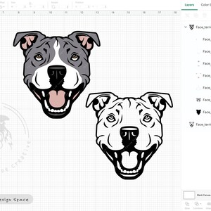 Pit Bull Face SVG, Pittie SVG, Pitty PNG, Staffie Svg, Staffy Vector ...