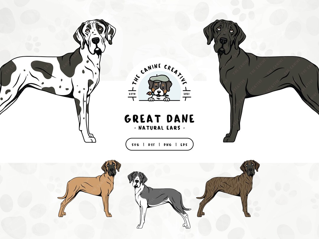Great Dane SVG Natural Floppy Ears, Standing Dog Clipart, Hand Drawn ...