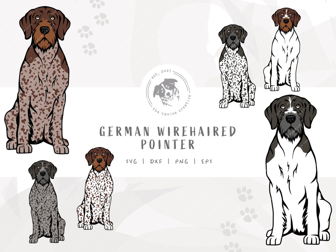 German Wirehaired Pointer SVG, GWP SVG, Sitting Dog Svg, German Wire ...