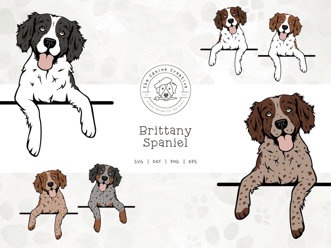 Brittany Dog SVG, Brittany Spaniel Clipart, Peeking Dog PNG #2, Hunting ...