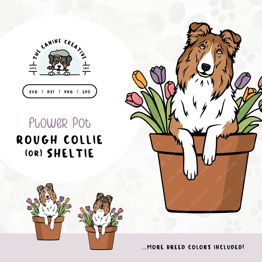 Dog Flower Pot, Floral Dog SVG, Rough Collie SVG, Shetland Sheepdog Art ...