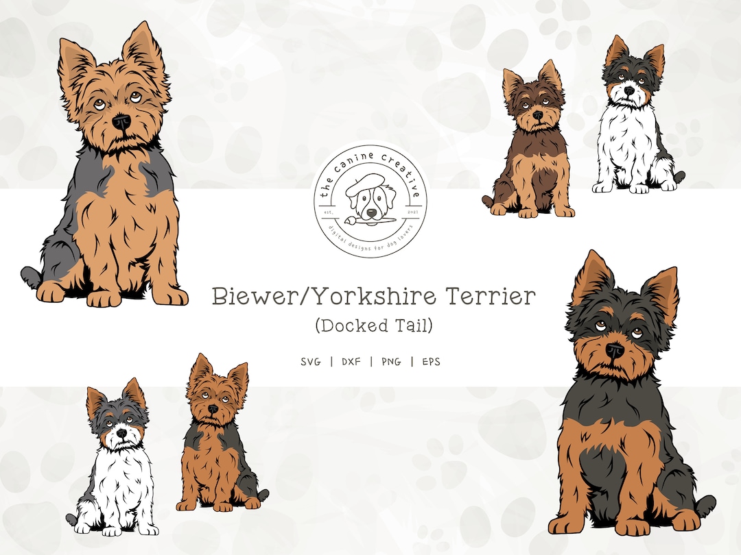 Yorkshire Terriers Clip Art, Yorkie SVG, Biewer Terrier PNG, Docked ...