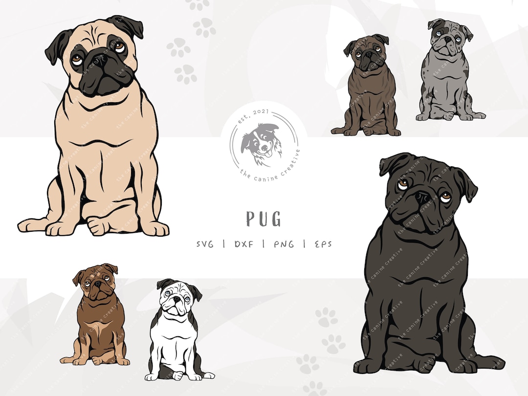 Pug SVG, Dog Sitting Design, Brindle Pug Clip Art, Fawn Pug ...