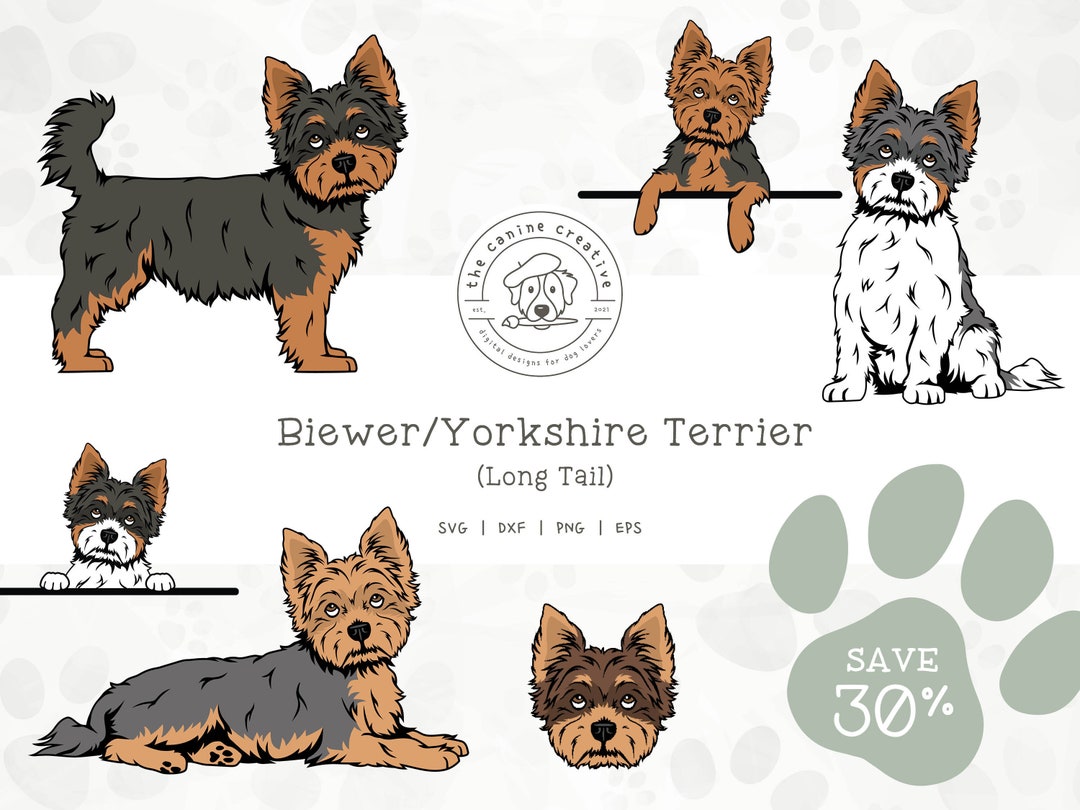 Yorkshire Terrier Clip Art, Yorkie SVG, Biewer Terrier PNG, Undocked ...