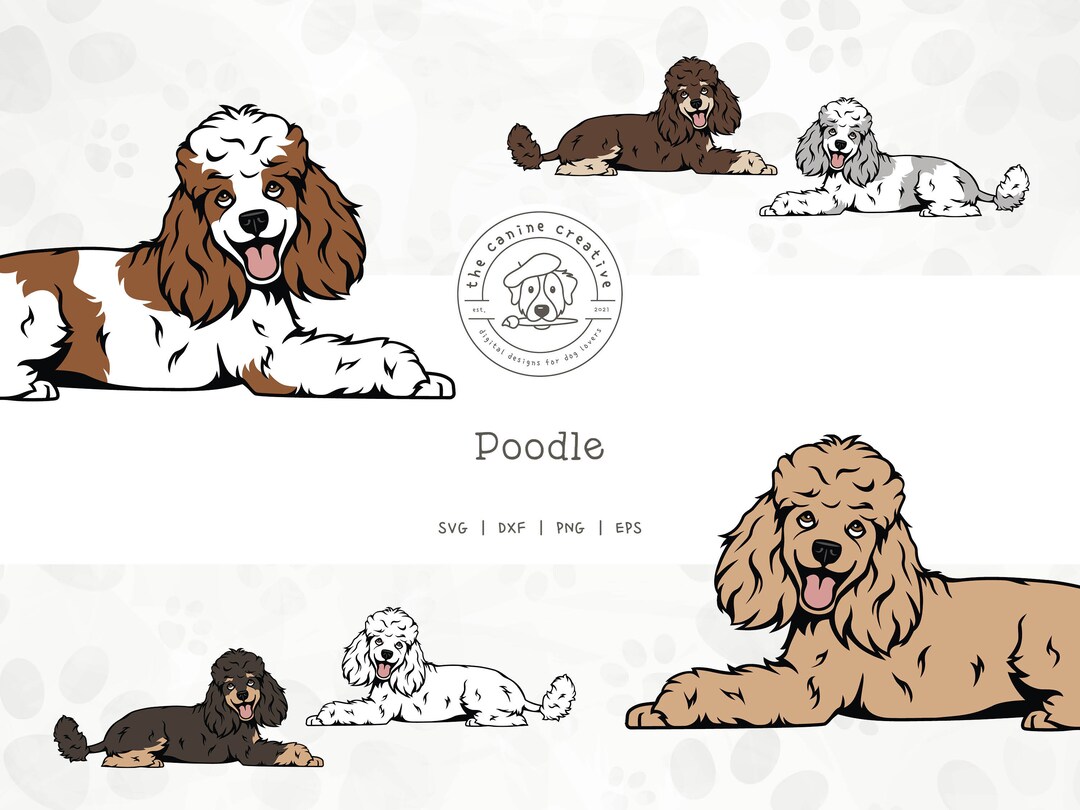 Poodles SVG, Laying Down Dog SVG, Standard Poodle PNG, Toy Poodle ...