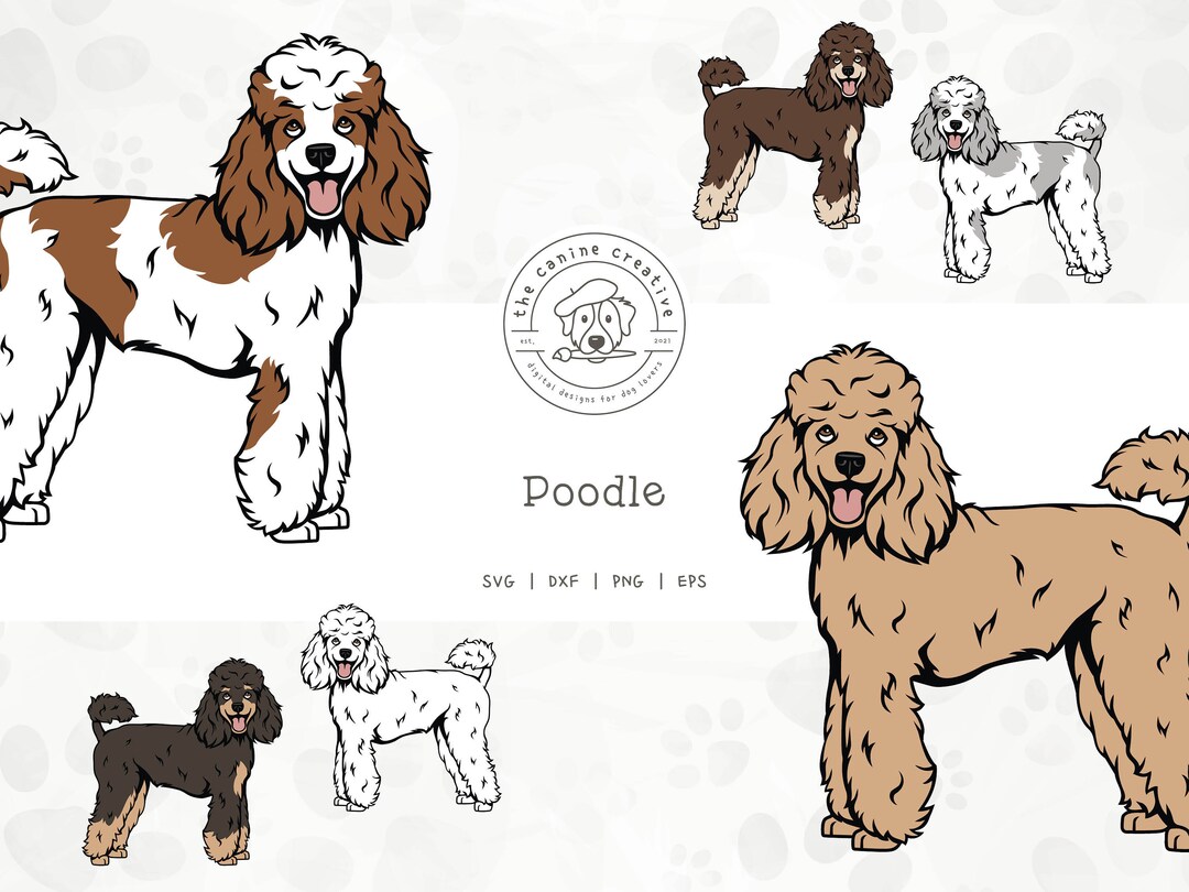 Poodles SVG, Standing Dog Svg, Standard Poodle PNG, Toy Poodle Clipart ...