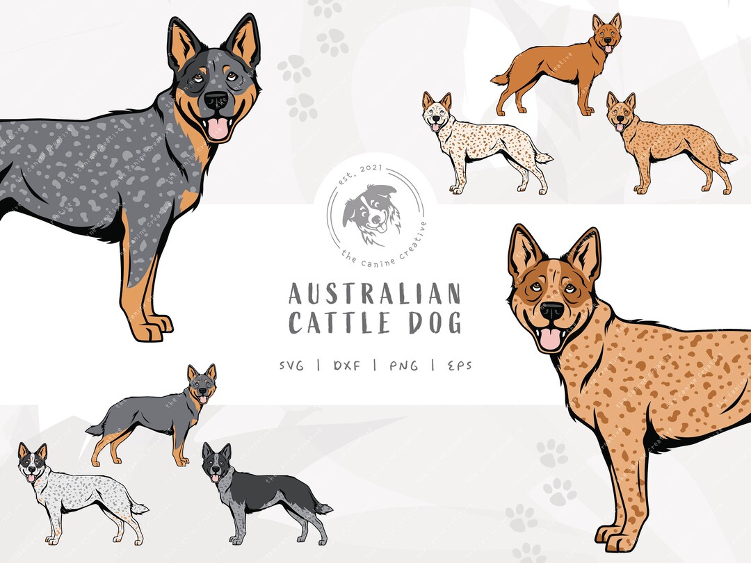 Heeler SVG, Standing Dog Design, Australian Cattle Dog Clip Art, Blue ...