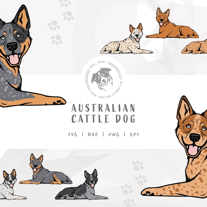 Red Heeler - Etsy