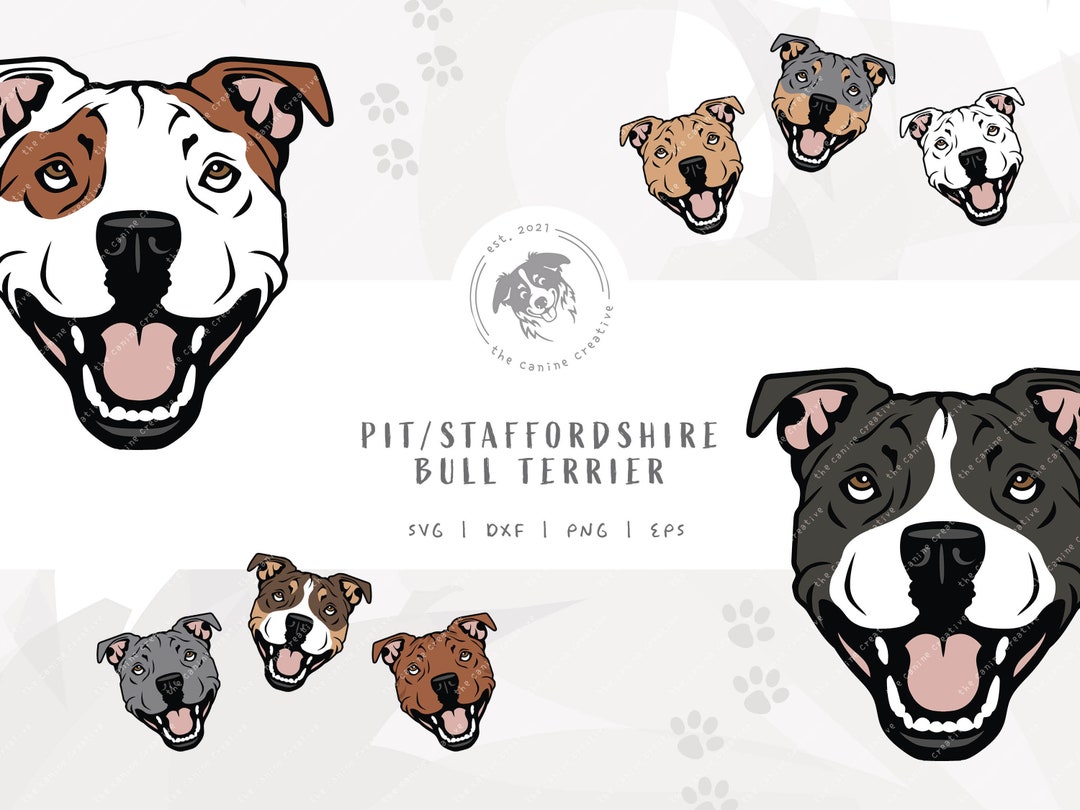 Pit Bull Face SVG, Pittie SVG, Pitty PNG, Staffie Svg, Staffy Vector ...
