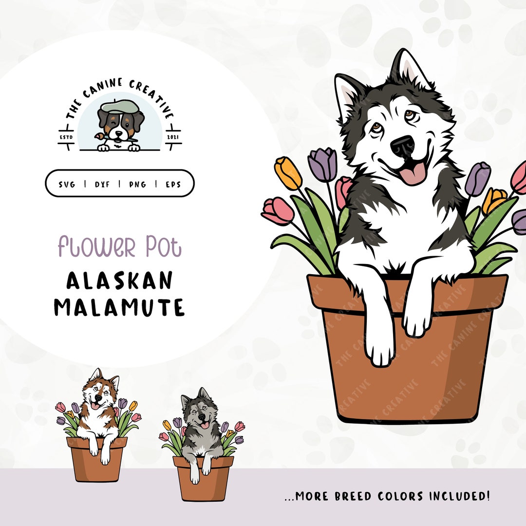 Alaskan Malamute SVG Cute Peeking Mal Puppy in Flower Pot Clipart DIY ...